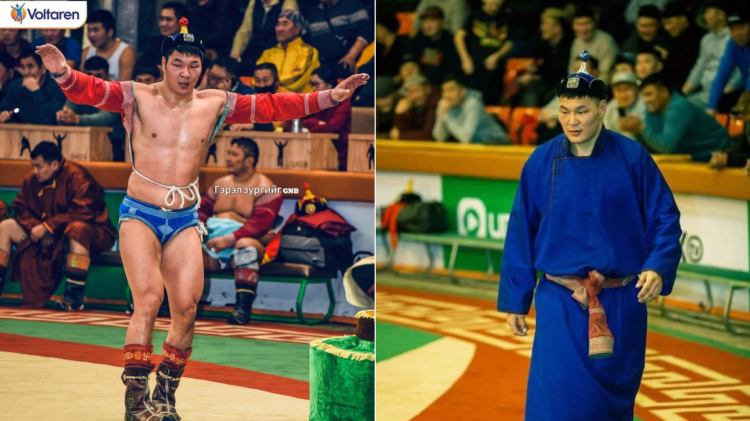 Цэргийн заан Ө Батсуурь бөхийн өргөөнд анх удаагаа түрүүллээ